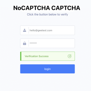 5 Most Popular Types of CAPTCHA in 2025 | GeeTest